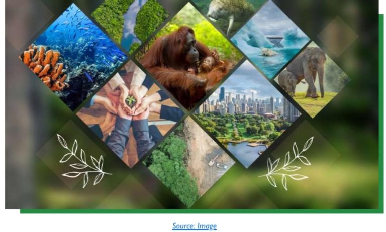International Environmental Agreements/Protocols signed by India ...