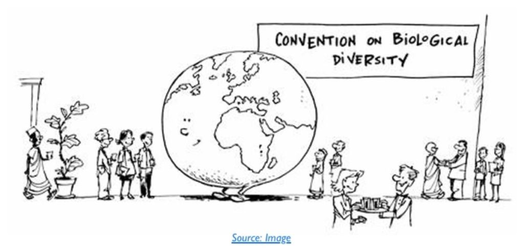 International Environmental Agreements/Protocols signed by India ...
